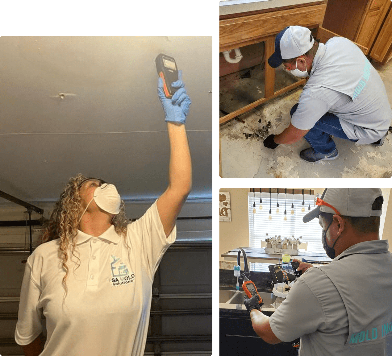 Servicio de Inspección de Moho en Florida